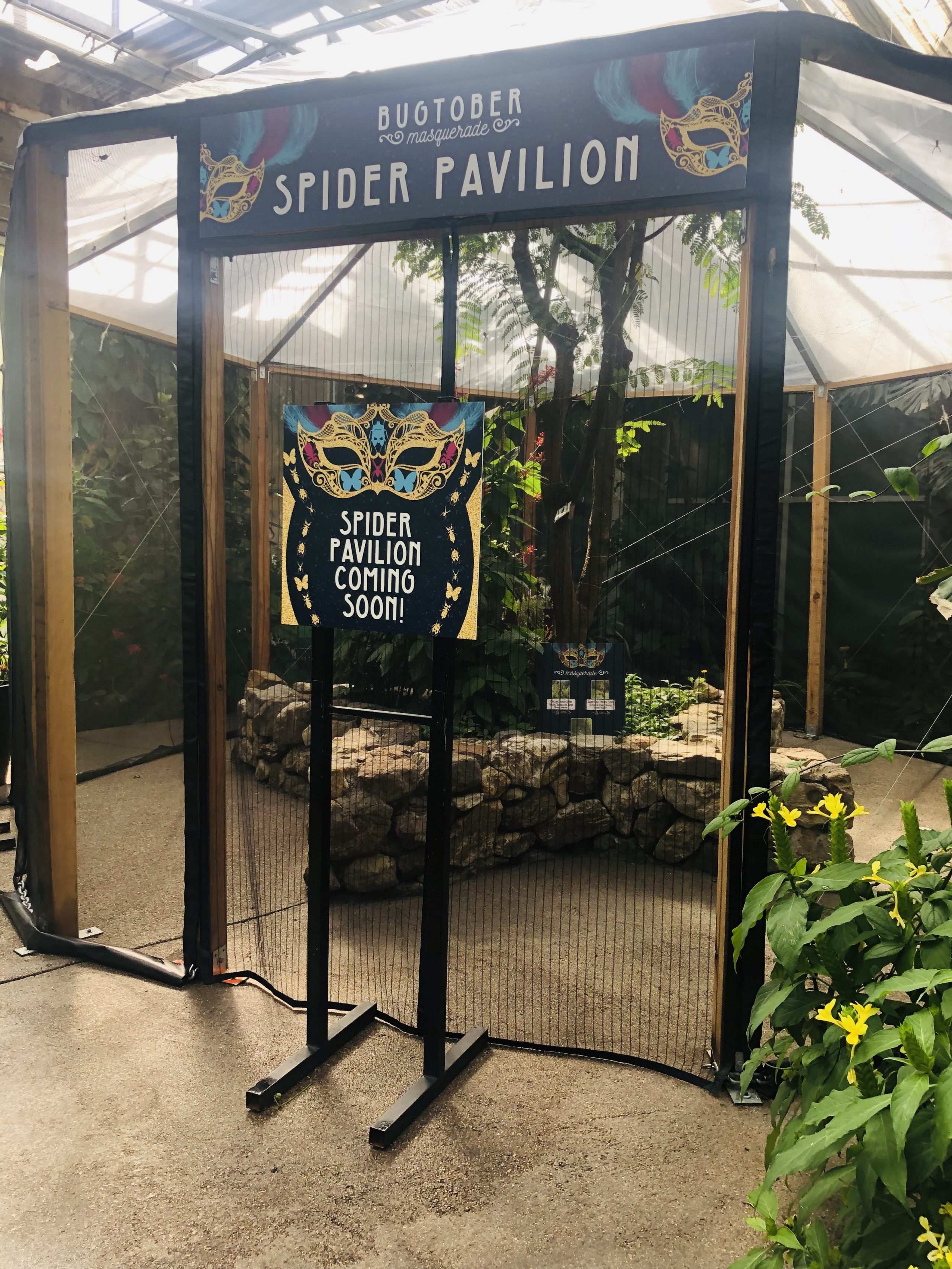 Bug-A-Boo & Bugtober at the Butterfly Pavilion » The Denver Housewife