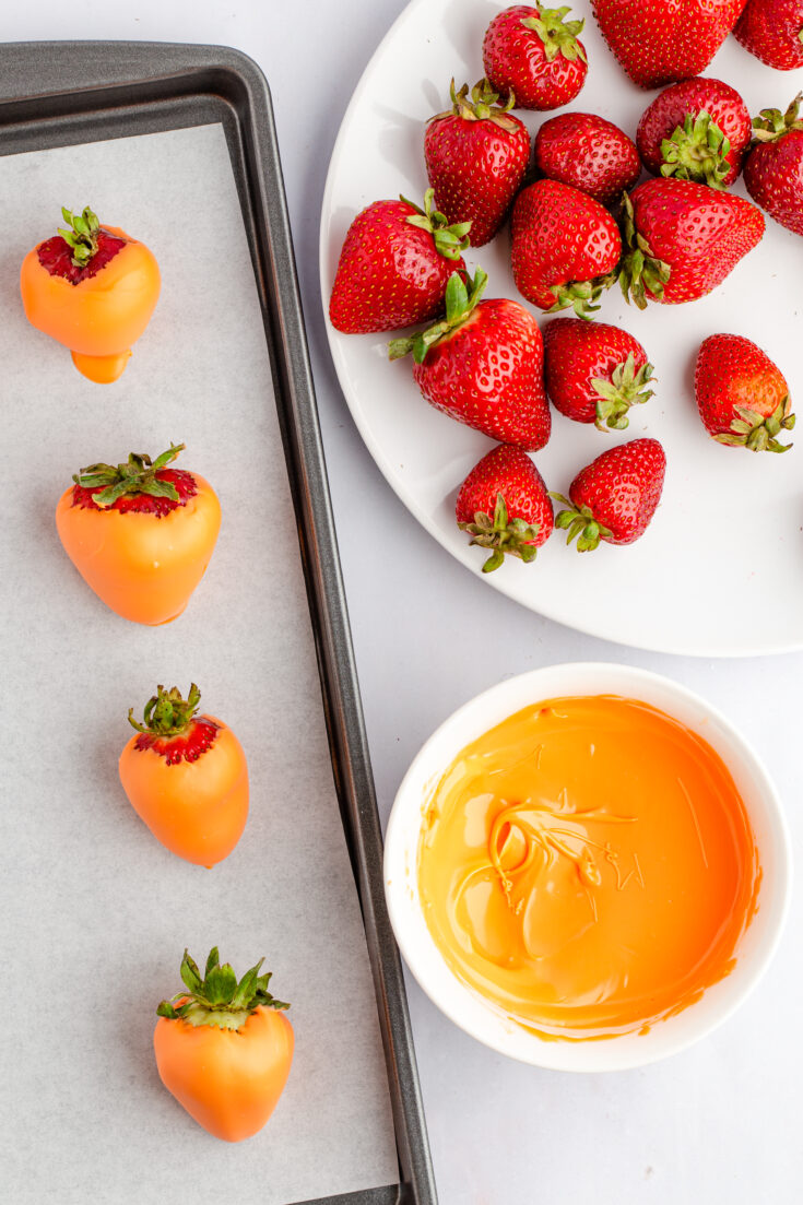 Chocolate Covered Strawberry Pumpkins » The Denver Housewife