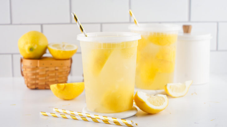 State Fair lemonade » The Denver Housewife