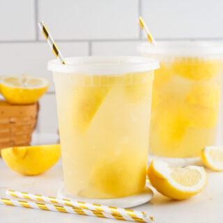 State Fair lemonade » The Denver Housewife