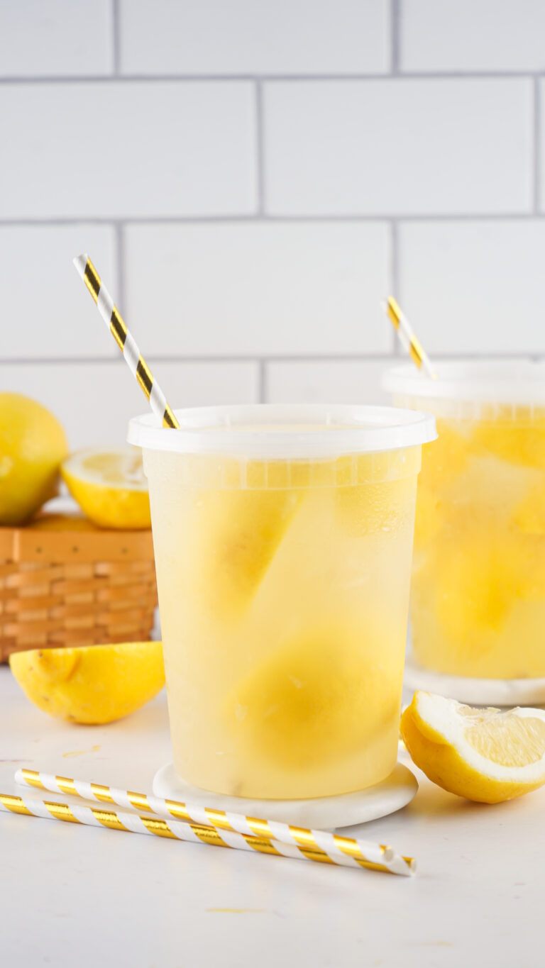 State Fair lemonade » The Denver Housewife