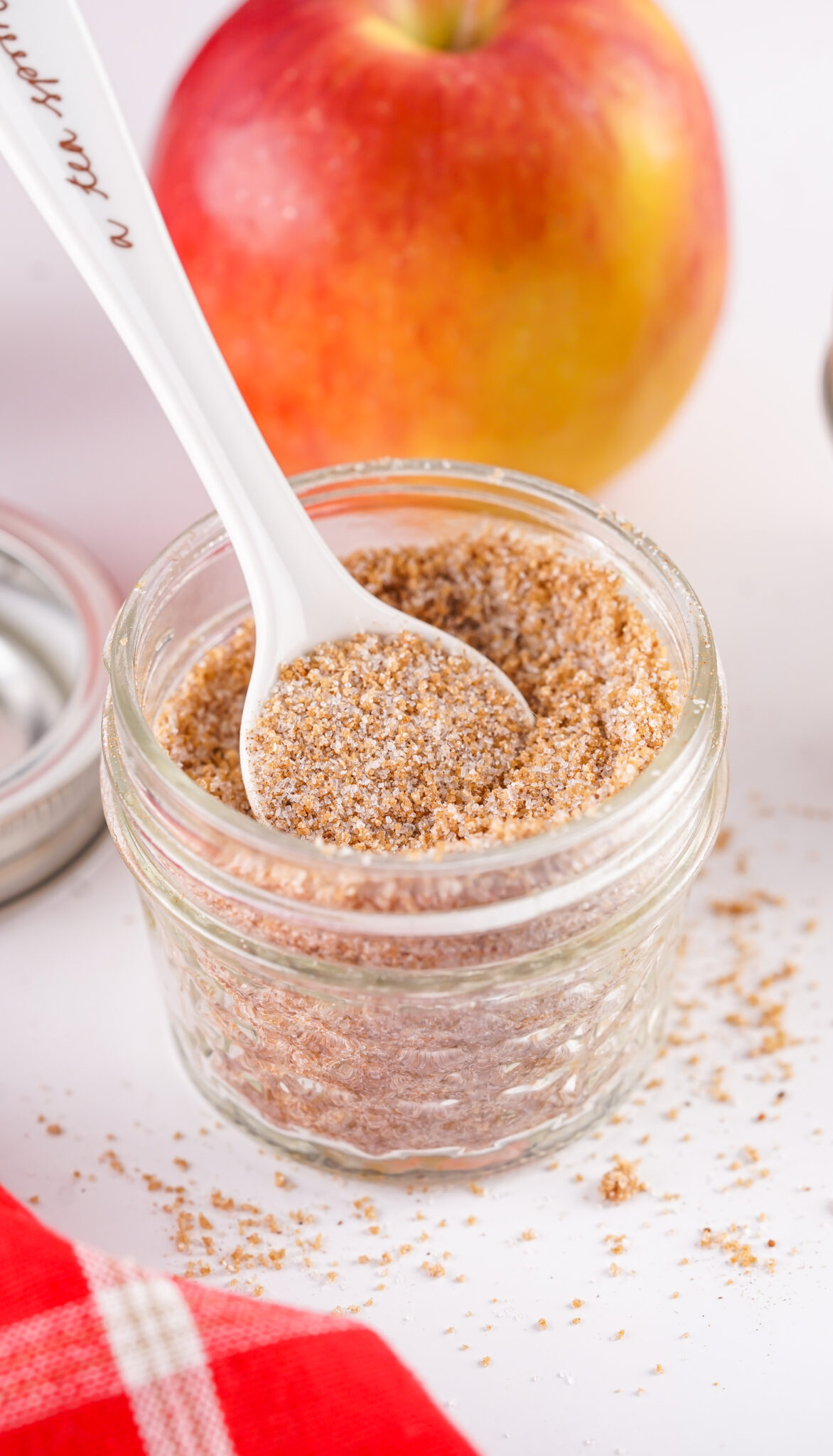 Homemade Apple Cider Powder Mix » The Denver Housewife